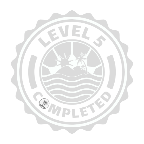 Courses – Beach Boss Influencers Membership